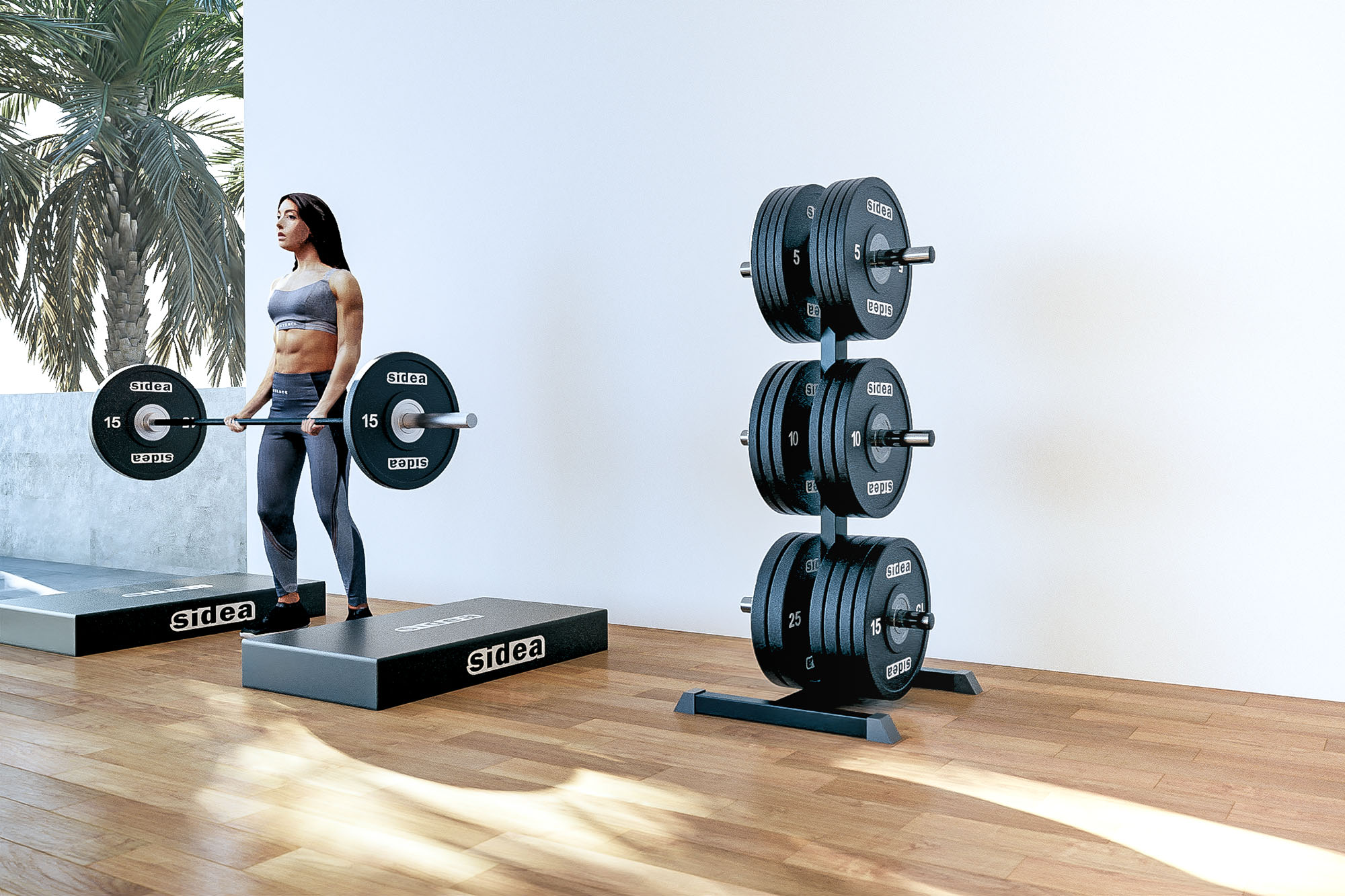 Scheibenhalter - Sidea | Professionelle Fitnessgeräte